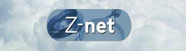 Z-net Bedrijven Informatie Systeem